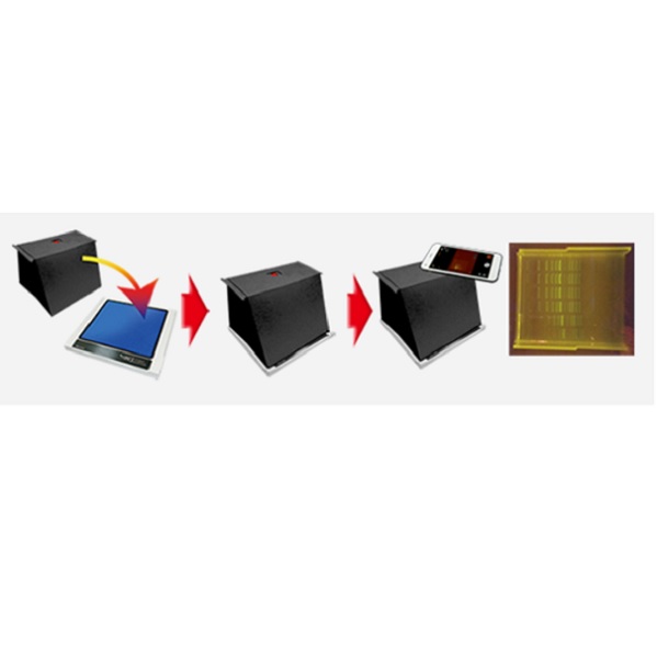 Blue 470nm LED light Transilluminator table Citrine Solutions